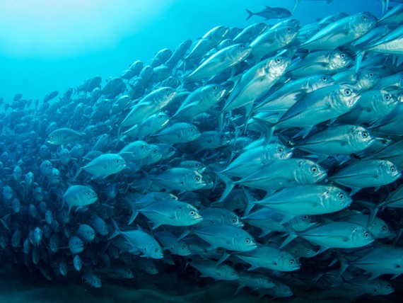 GESU Çevre Teknolojileri